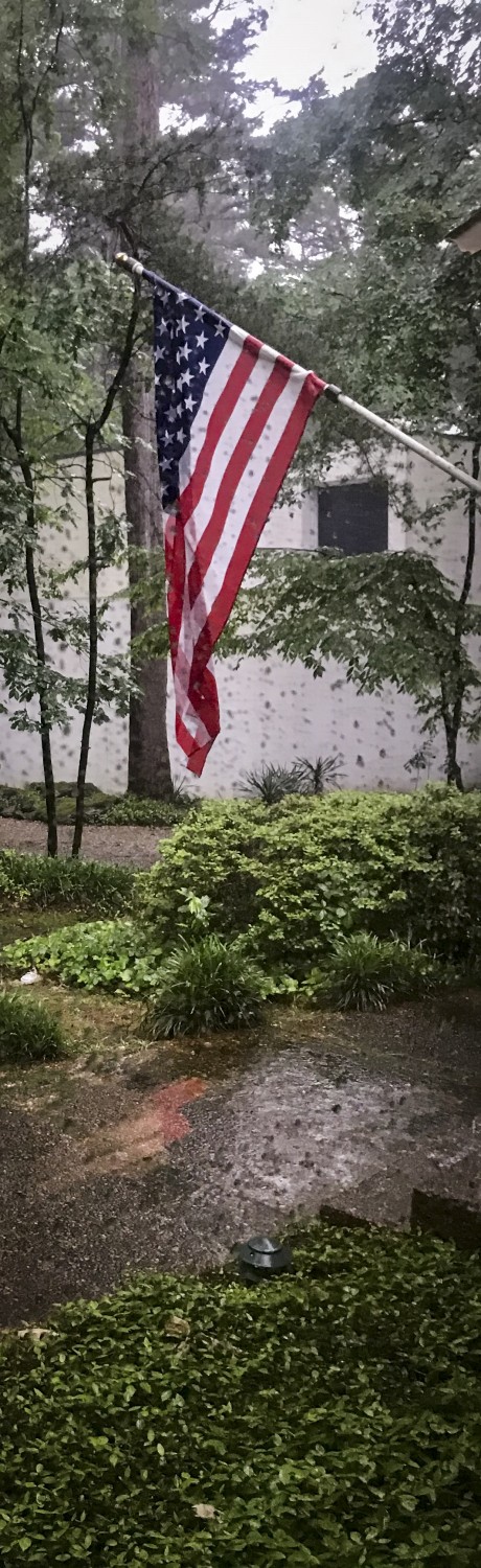 The View From My Window - Gary Borders