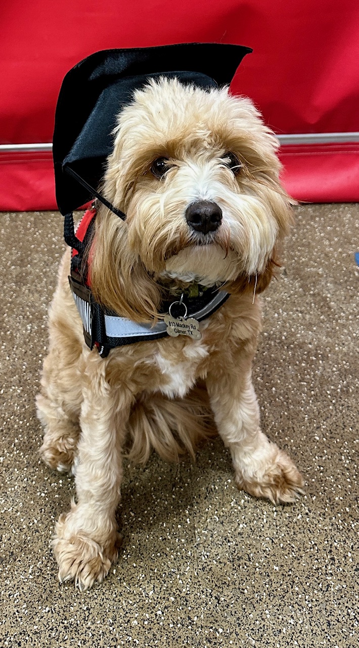 Gatsby Officially Earns Title of Therapy Dog - Gary Borders