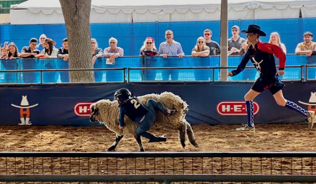 Mutton Bustin’, Great Beer and Beautiful Flowers – A Trip to H-Town ...
